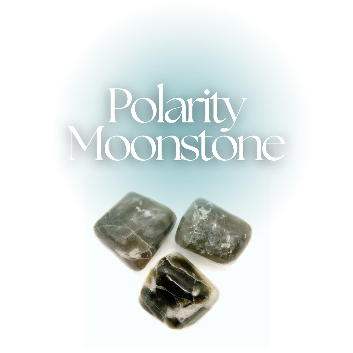 July Pebble Pick 2025 – Mighty Pebble Rebel