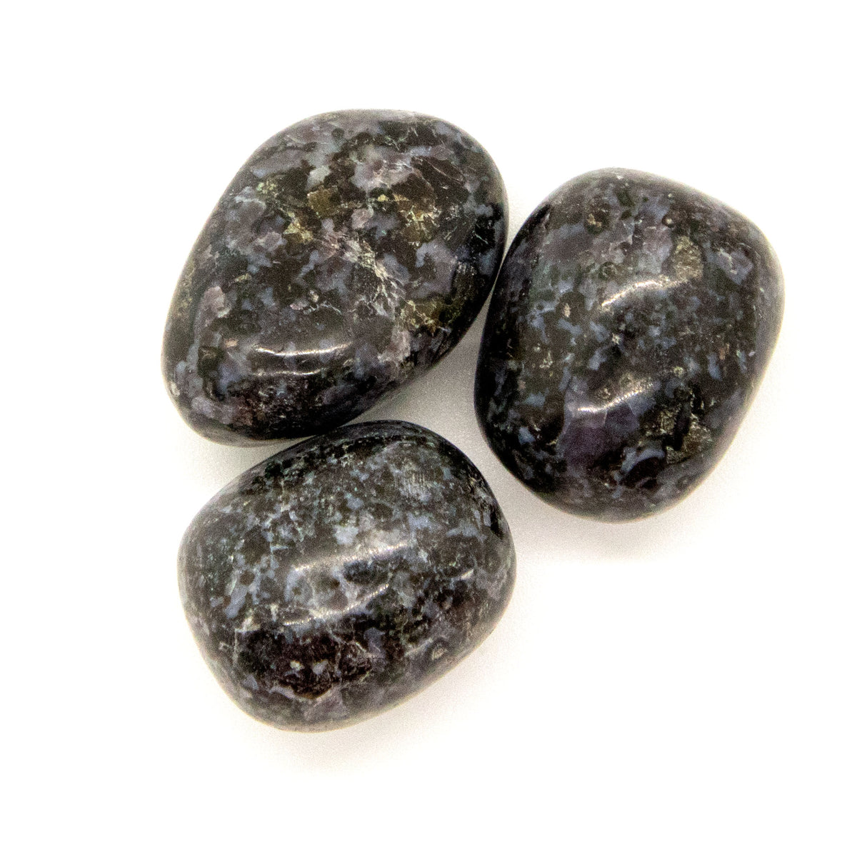 Indigo Gabbro Tumbled Stone – Mighty Pebble Rebel